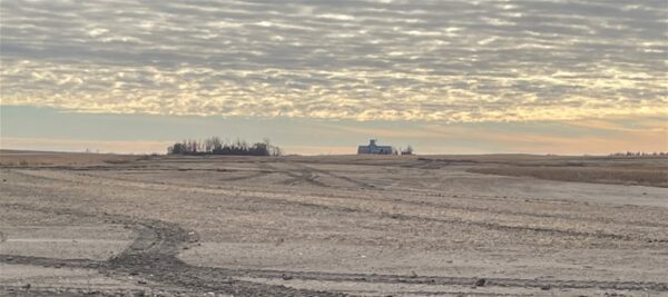 Auctions - Nikolaisen Land Co